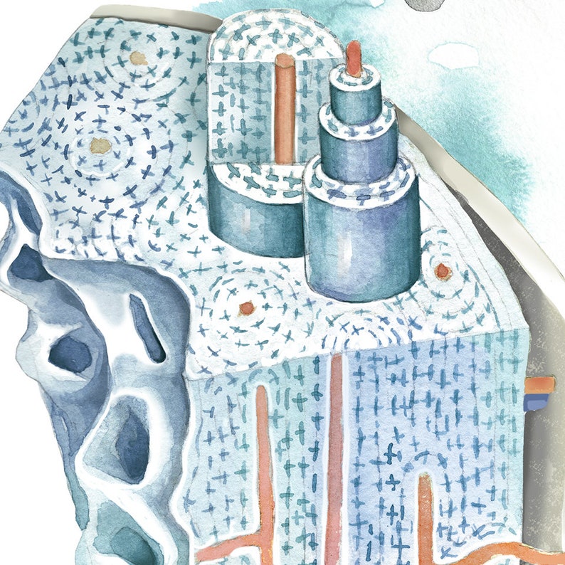 Haversian System Bone Structure Science Art Poster Biology - Etsy