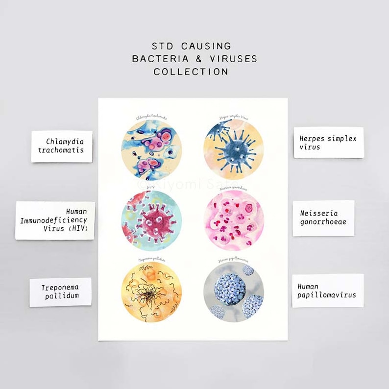 STD Causing Bacteria and Viruses Collection Poster | Etsy