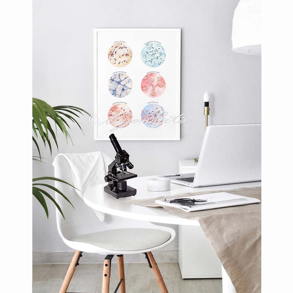 Feline UTI Causing Bacteria Collection Science Art Poster, Bacteria ...