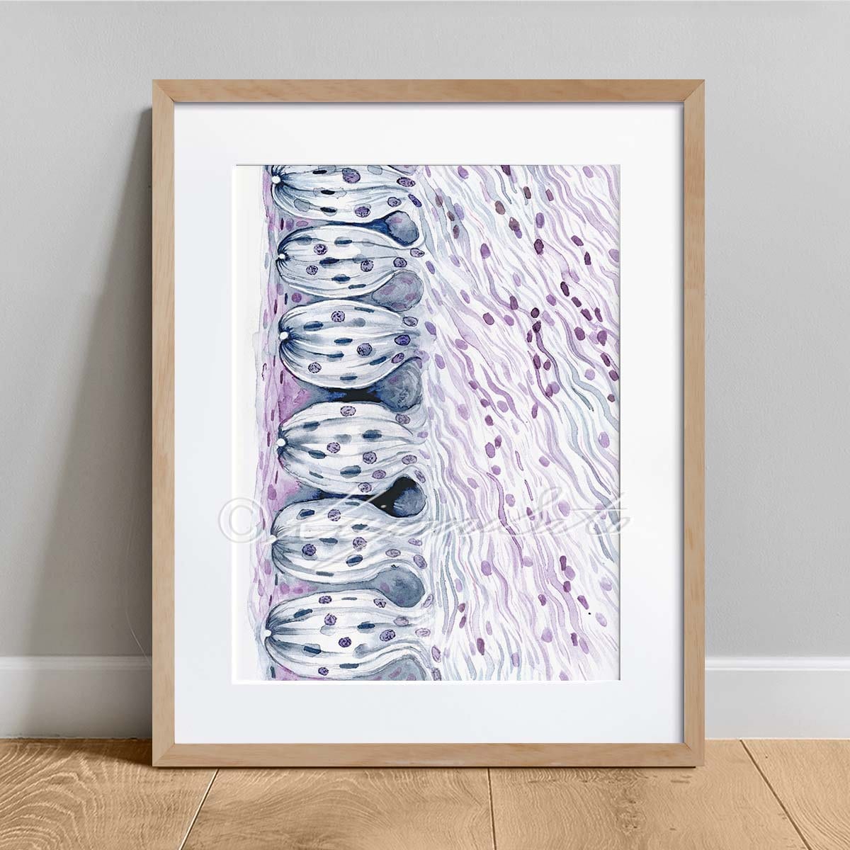 Taste Buds Histology Abstract Art, Oral Cavity Histology Science Art ...