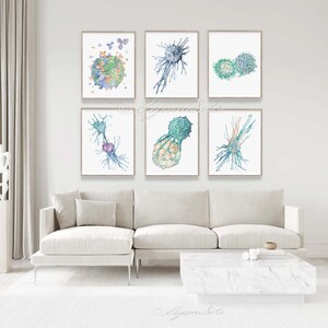 Immune Cells Gallery Art Poster Set of 6, Defensive Cells Art ...
