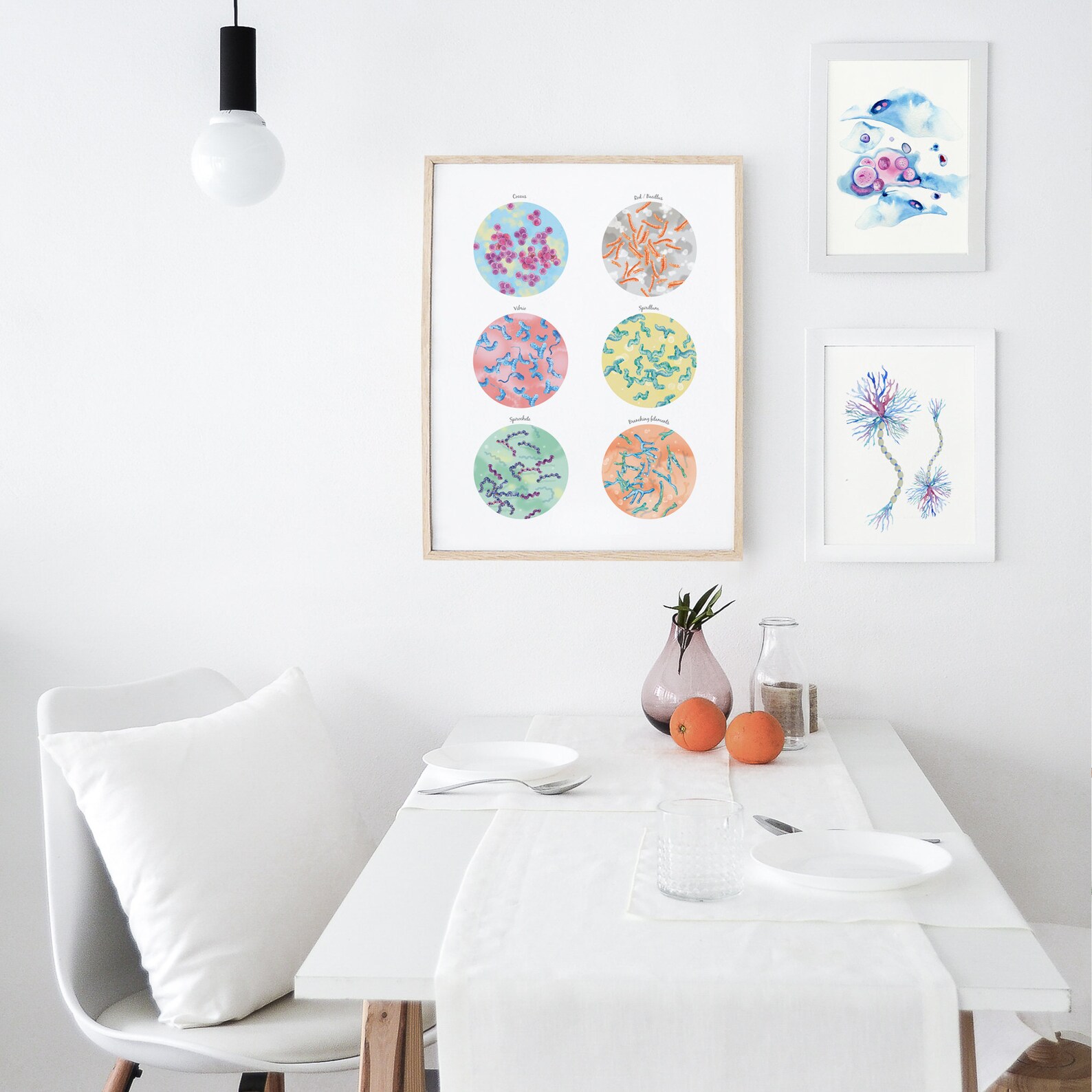 Bacterial Shape Collection Microbiology Poster Science Art - Etsy