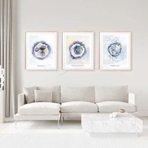 Neutrophil, Natural Killer Cell, Dendritic Cell Poster Set Immunology ...