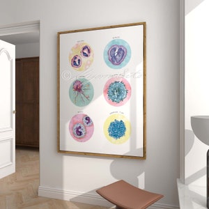 Defensive Cells, Immune System Collection, Microbiology Art Poster ...