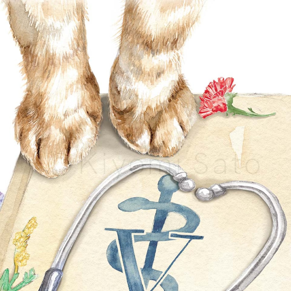 Veterinary Art Print Decor Veterinarian Stethoscope Vet Tech - Etsy