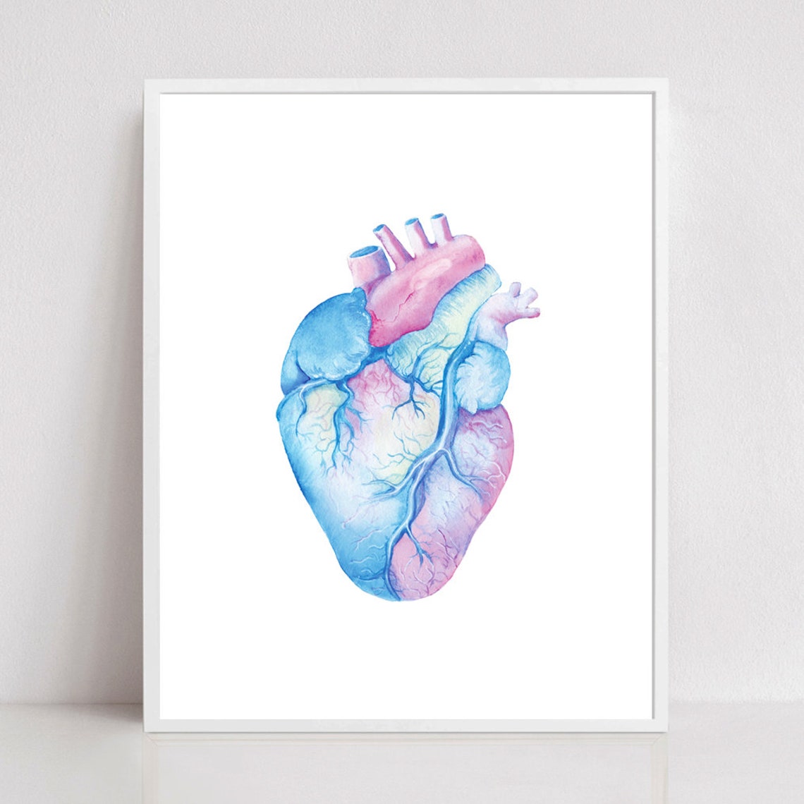 Anatomical Heart Poster in Blue Science Art Cardiovascular | Etsy