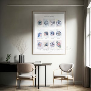 Immune System Art Print, Immunology Poster White Blood Cell ...