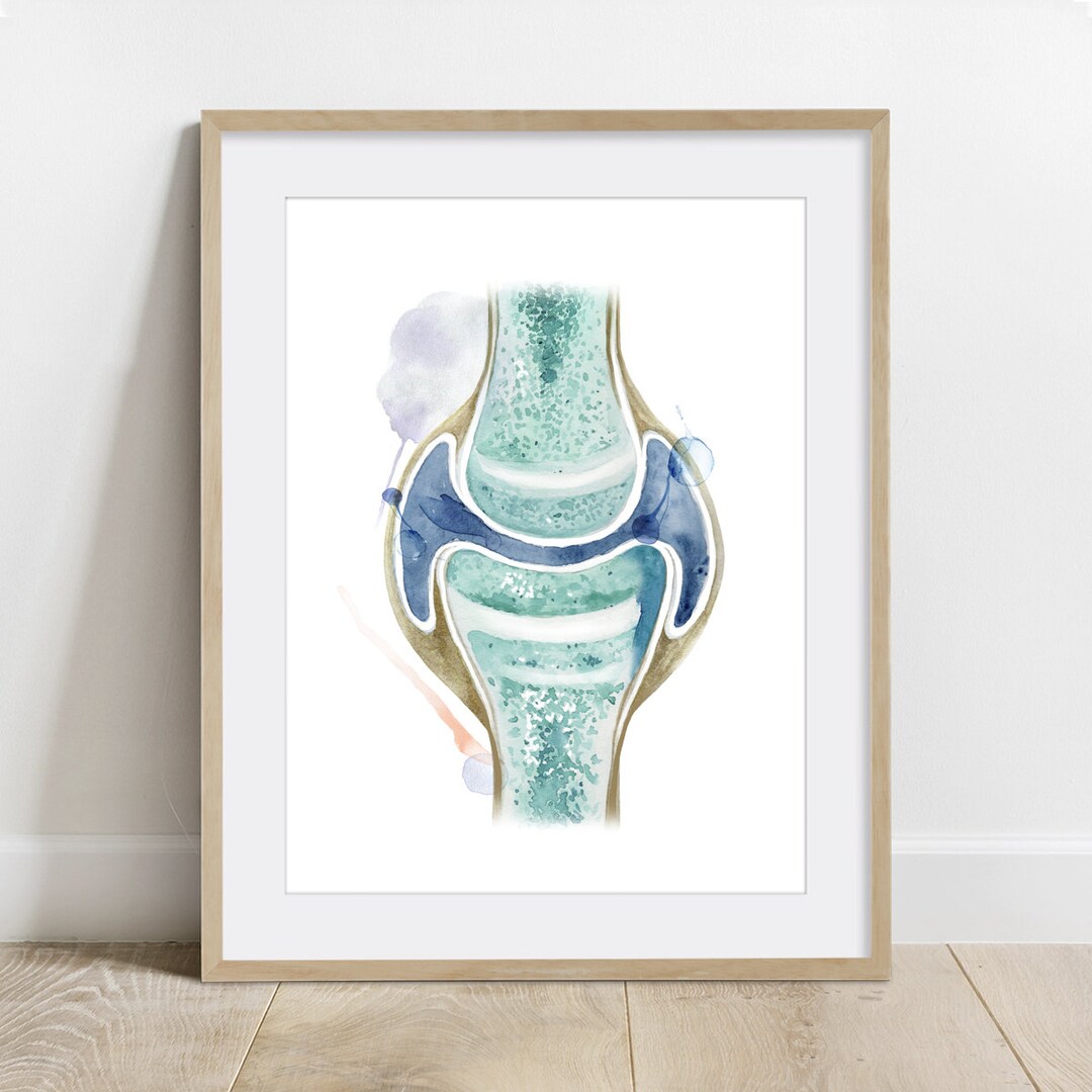 Joint Bone, Synovial Joint, Science Art Poster, Biology, Anatomy Print ...
