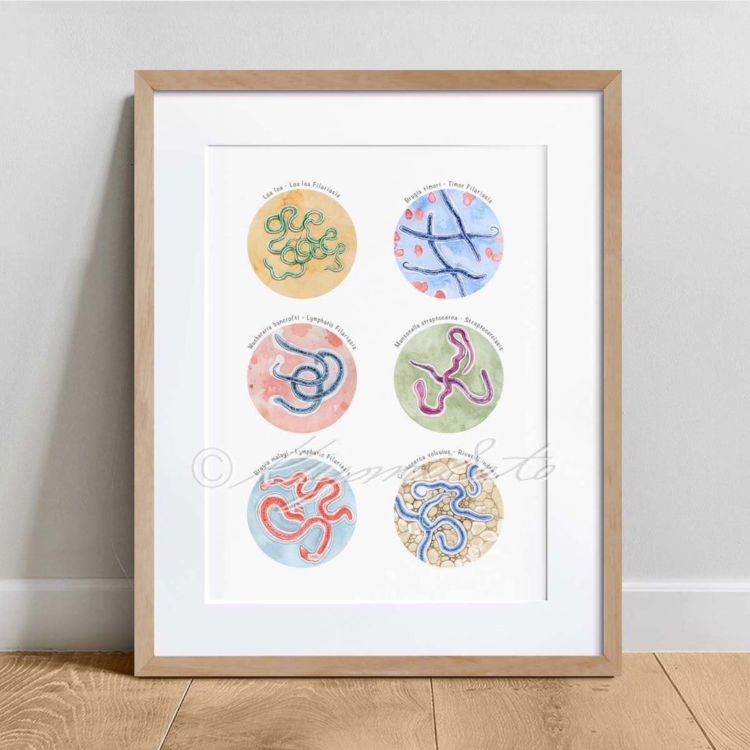 Disease Causing Filaria Collection, Parasite Science Art Print ...