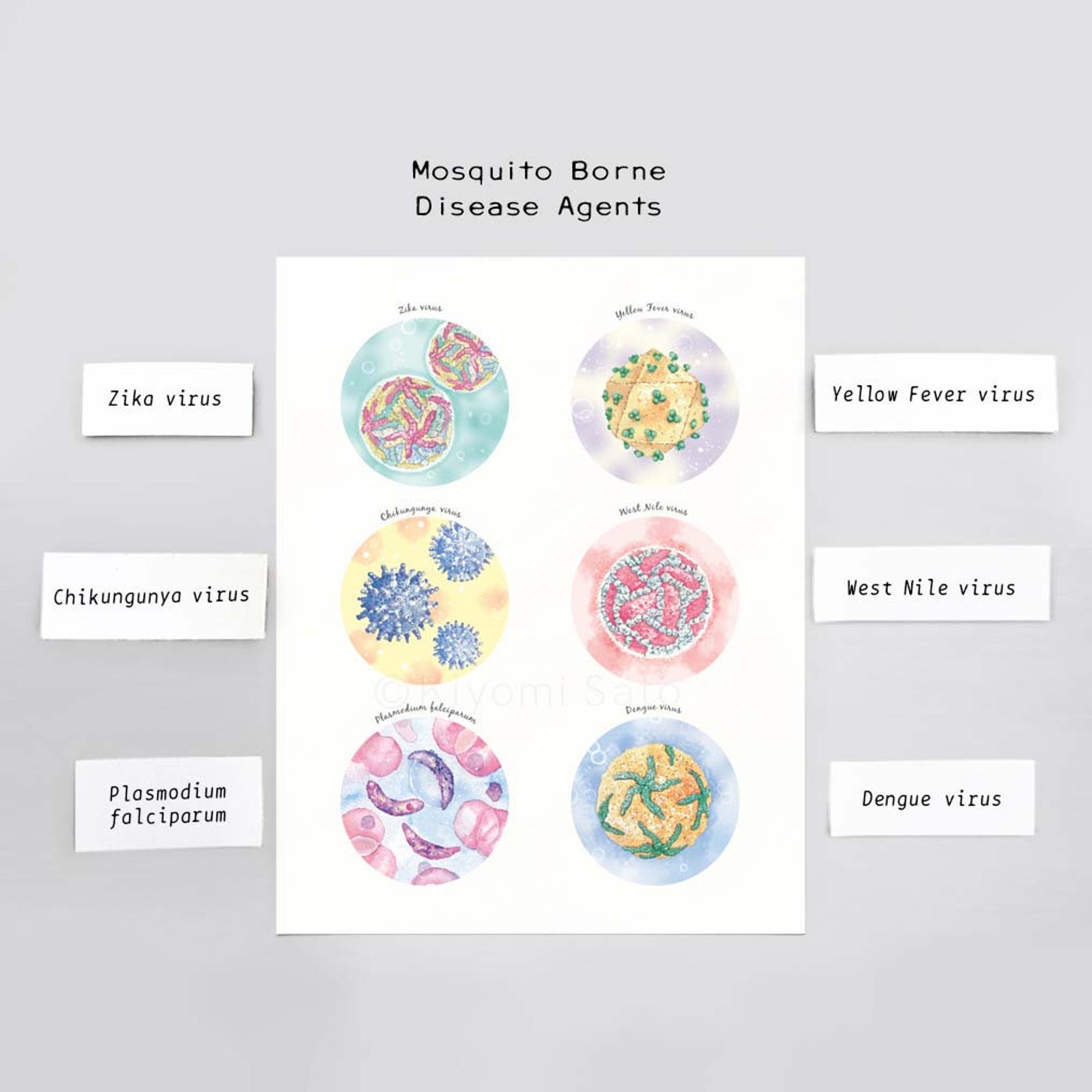 Mosquito Borne Disease Agents Collection Science Art Print | Etsy