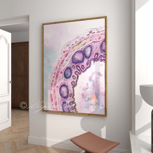 Appendix Histology Art, Watercolor Histology Art, Gastrointestinal ...