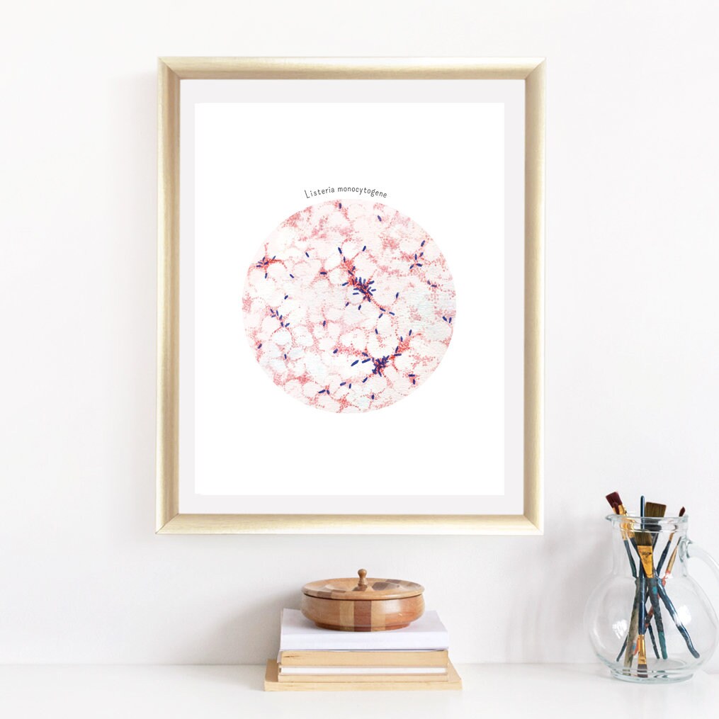 Listeria Monocytogenes Science Art Print Bacteria Poster | Etsy