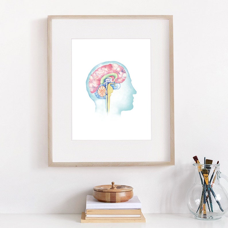 Nervous System Human Brain Science Art Poster Biology - Etsy