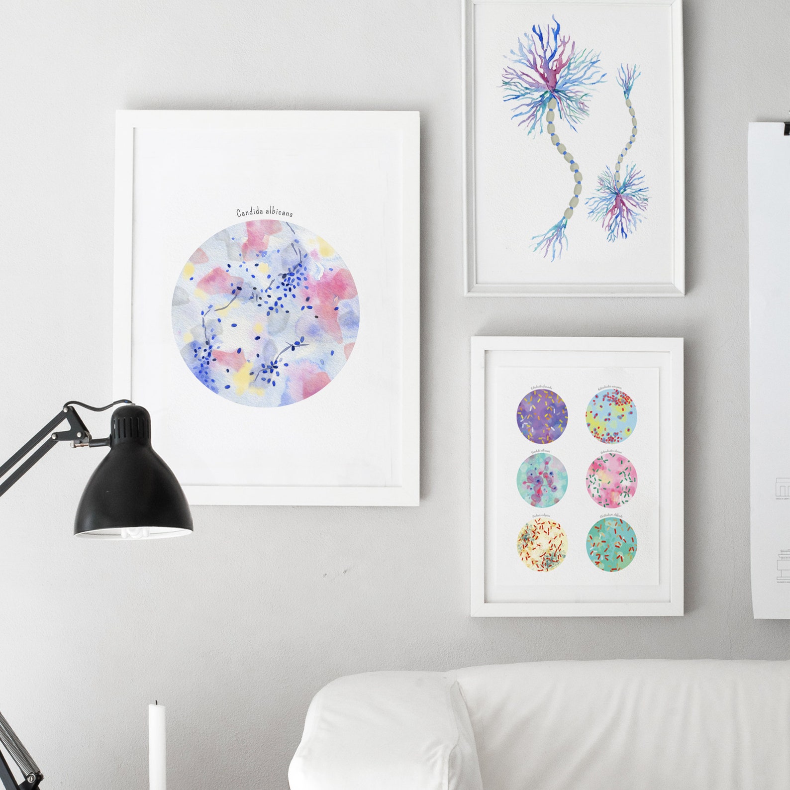 Candida Albicans, Science Art Print, Fungus Poster, Microbiology Wall ...