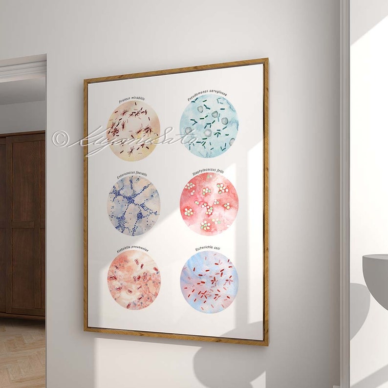 Feline UTI Causing Bacteria Collection Science Art Poster, Bacteria ...