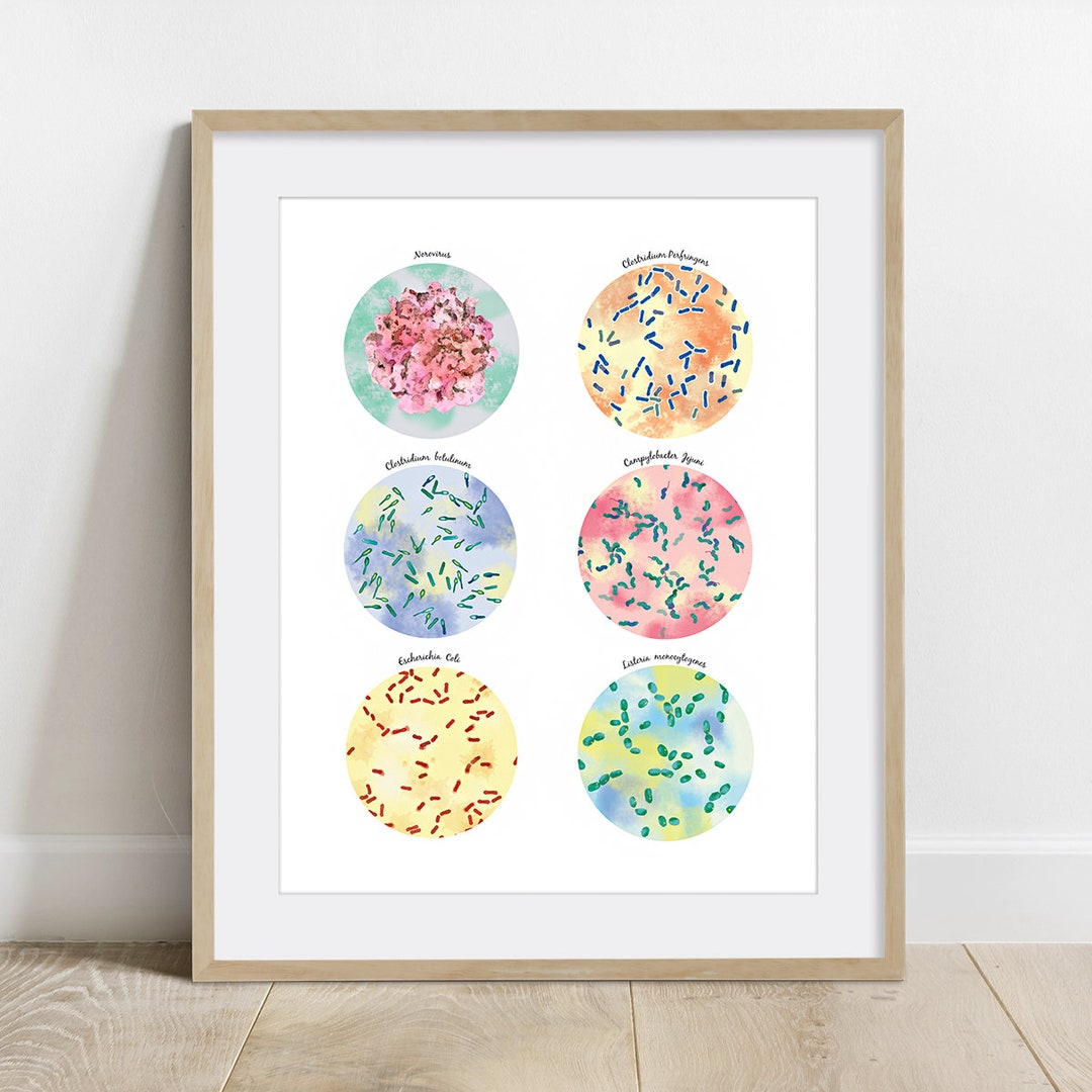 Foodborne Pathogens Collection Poster Bacteria Science Art - Etsy