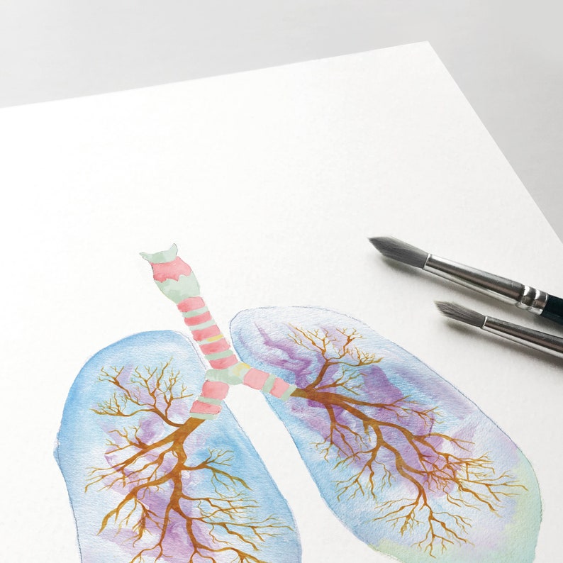 Human Lung Watercolor Painting Poster Science Art Biology - Etsy