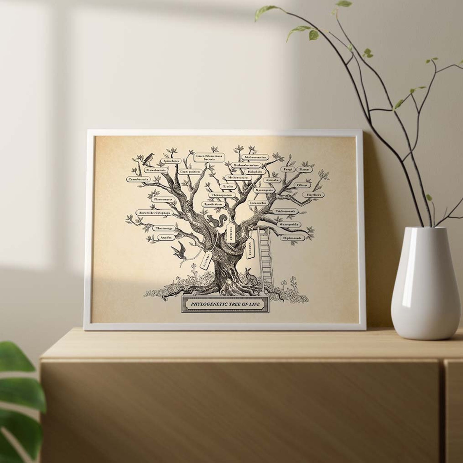 Microbiology Phylogenetic Tree of Life Poster Aurum Color - Etsy