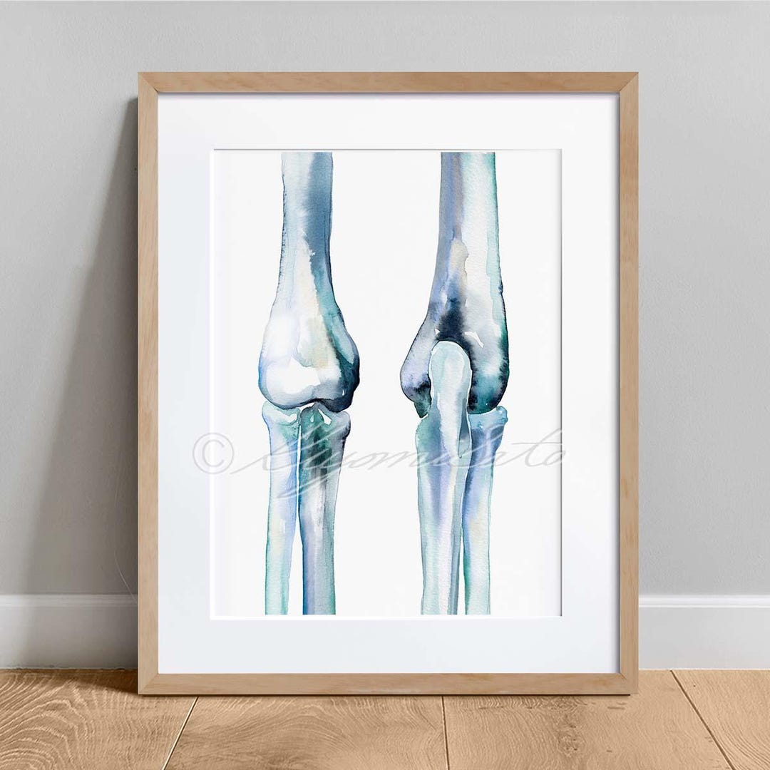 Elbow Joint Posterior and Anterior View, Abstract Art Print, Arm ...