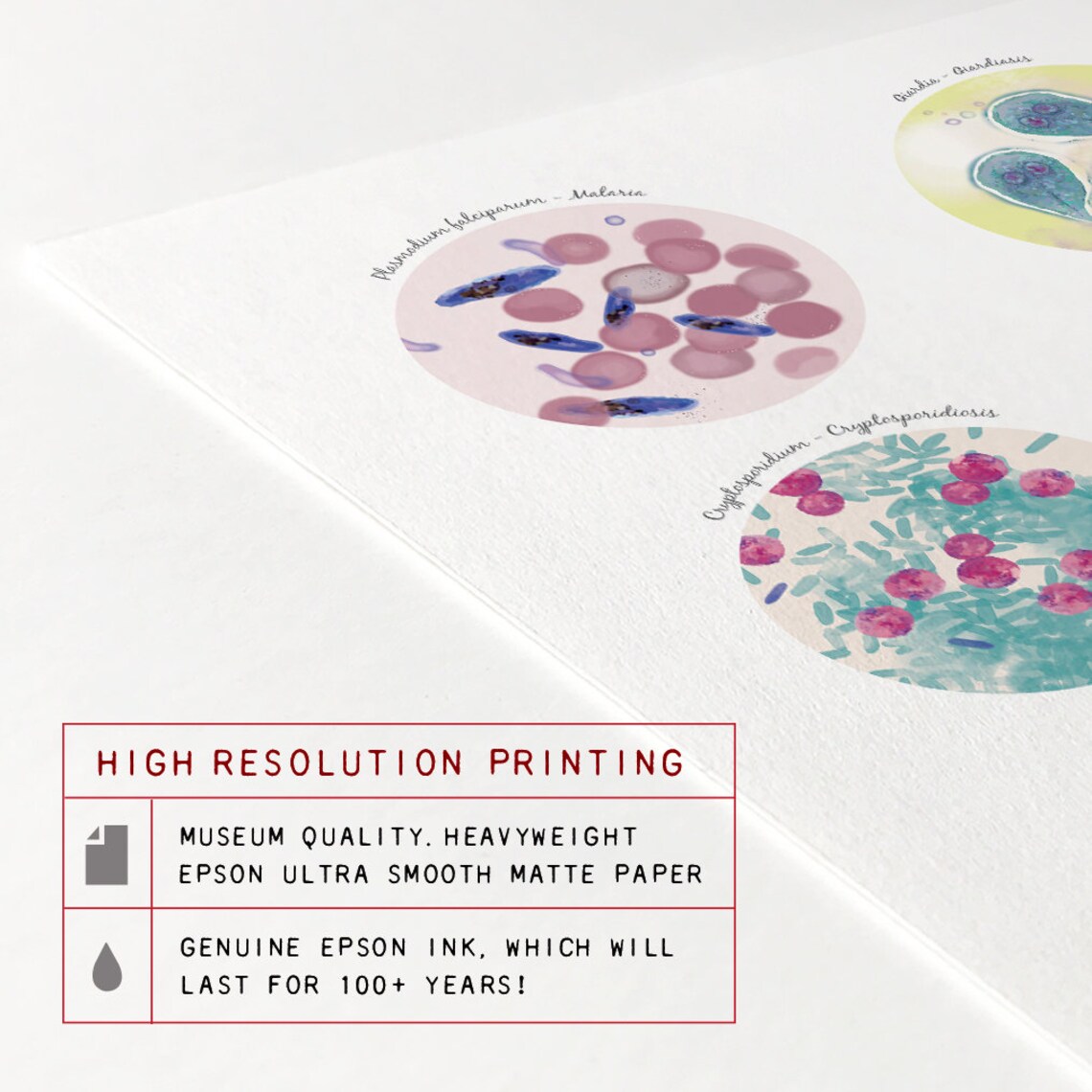 Parasitic Disease Collection Science Art Poster Microbiology - Etsy