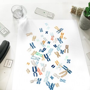 Chromosome Patterns, DNA, Genetics, Biology Poster, Science Art Print ...