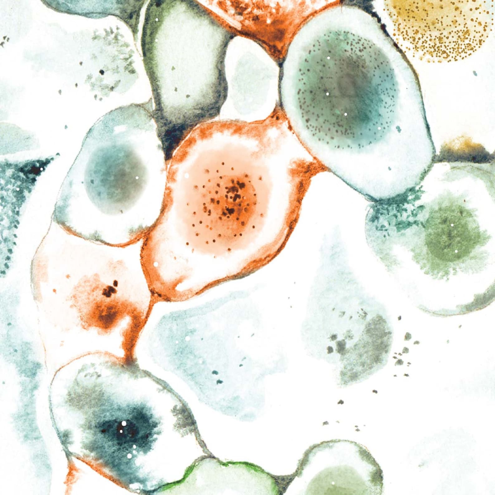 Veterinary Mast Cell Art Print, Dog Blood Cells, Hematology Poster ...
