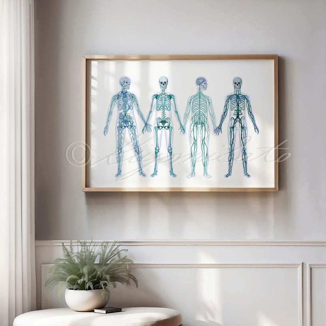 Human Anatomy Body System Poster Abstract Art Poster, Arm Anatomy ...
