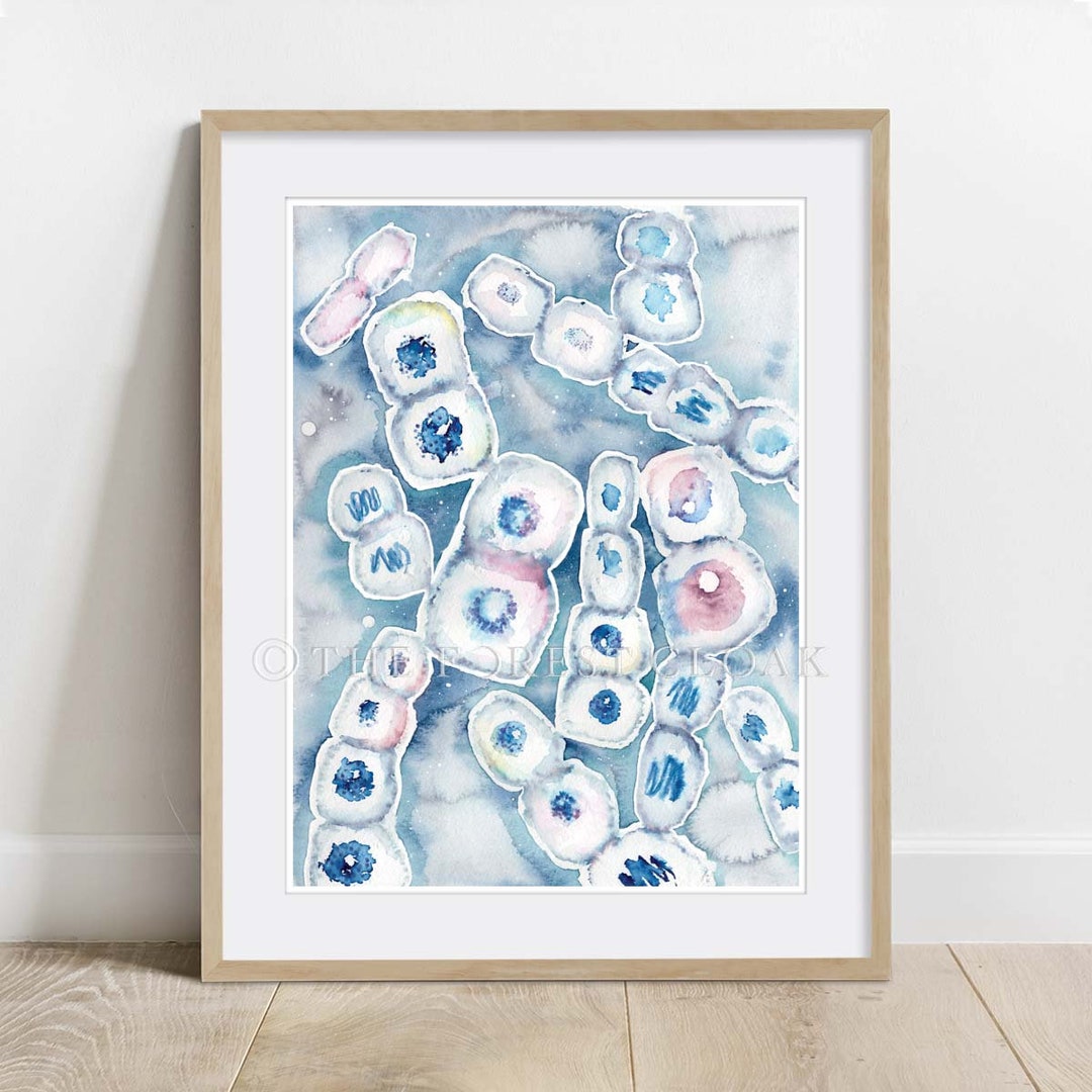 Mitosis Cell Division Abstract Art, Microbiology Poster, Science Art ...