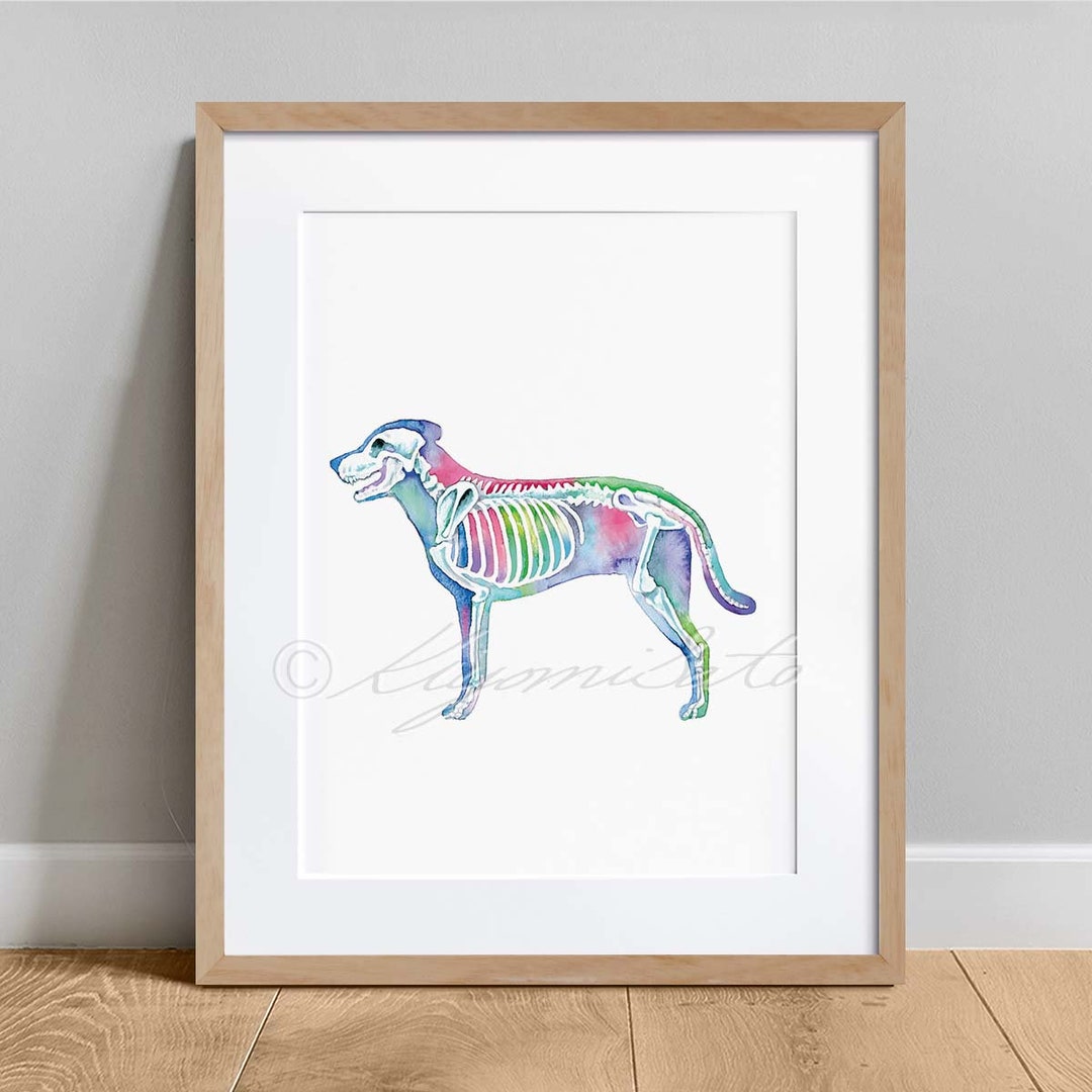 Dog Skeletal System Vertical Art, Canine Veterinary Decor Print, Dog ...