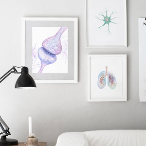 Synapse Science Art Print, Synaptic Cleft Biology Poster, Watercolor ...