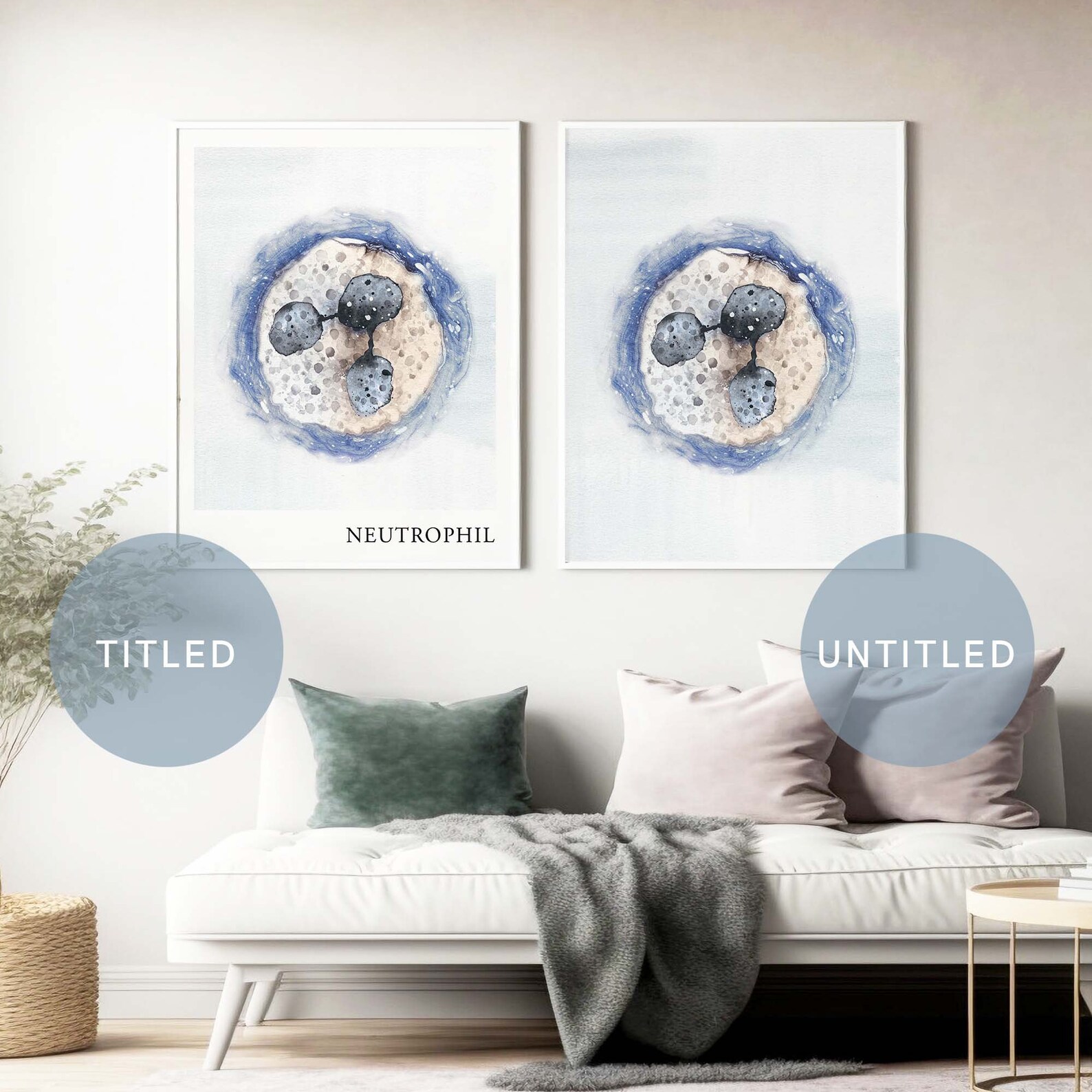 Neutrophil Innate Immunity Art Print Blood Cell Cytology - Etsy