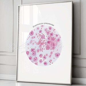 Bacteria Art Streptococcus Pneumoniae Poster, Microbiology Art Print ...