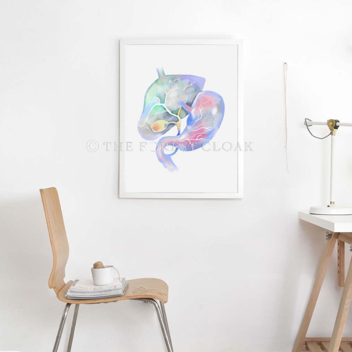 Feline Liver Biliary Tract Anatomy Art Print Veterinary - Etsy