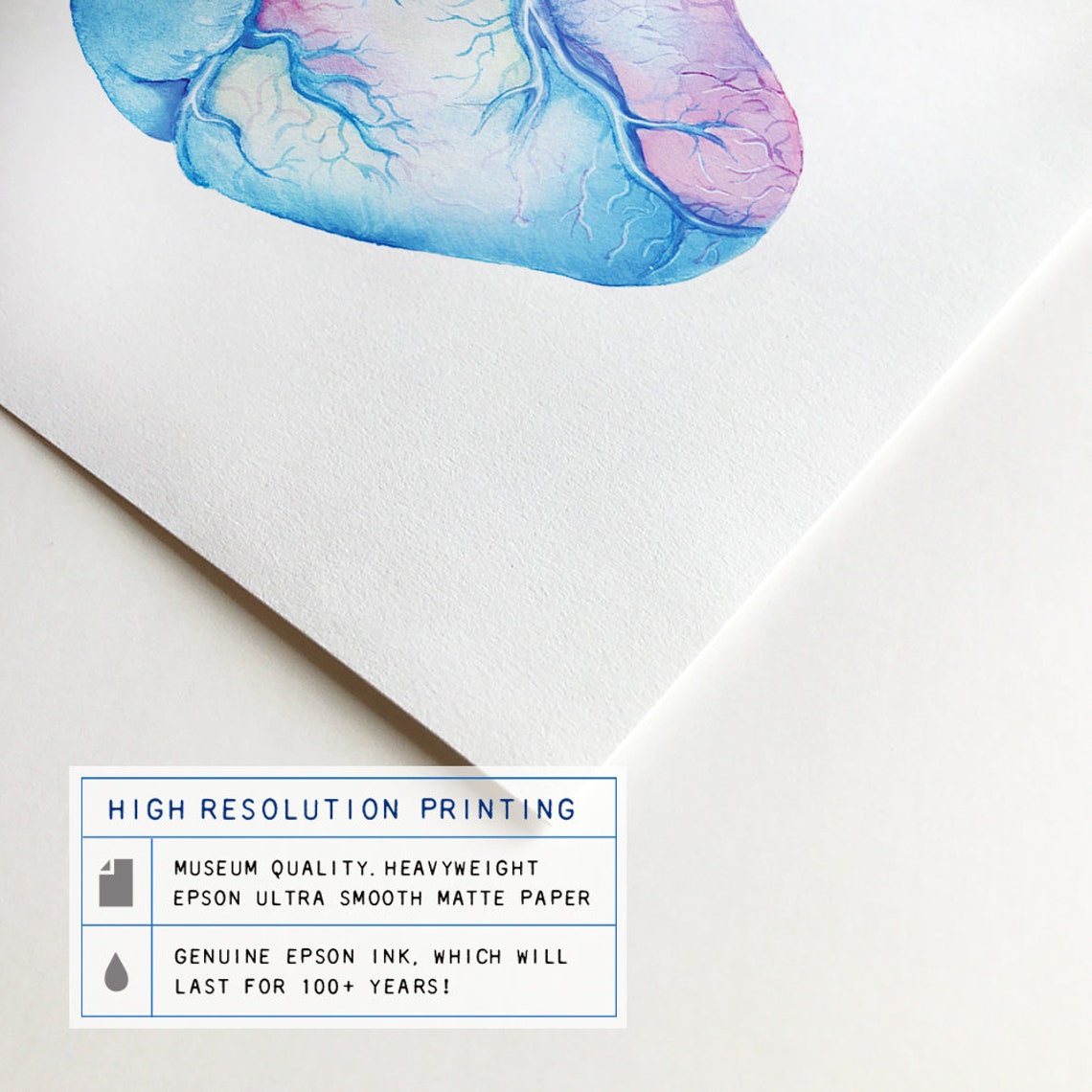 Anatomical Heart Poster in Blue Science Art Cardiovascular - Etsy