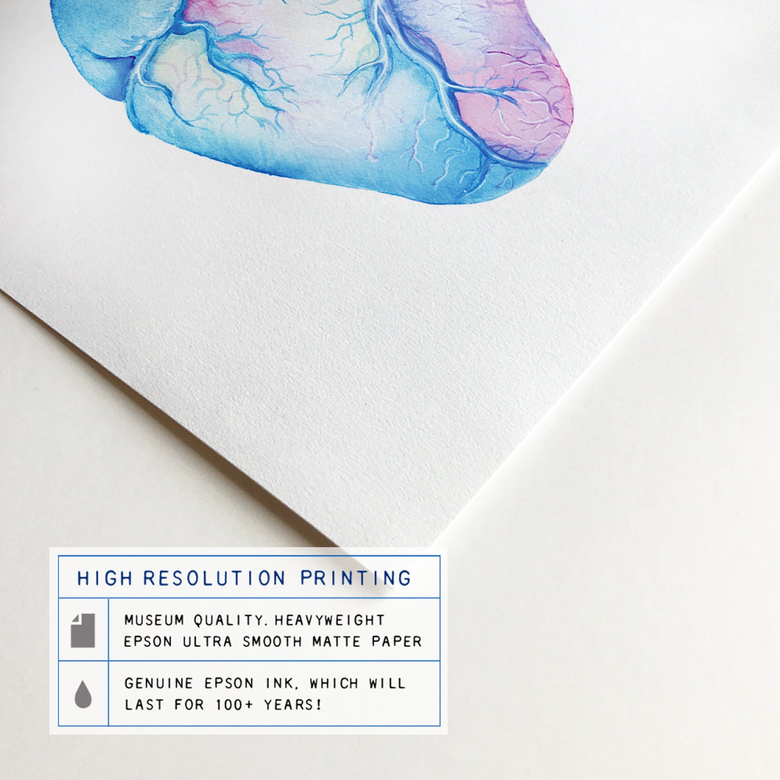 Anatomical Heart Poster in Blue Science Art Cardiovascular - Etsy
