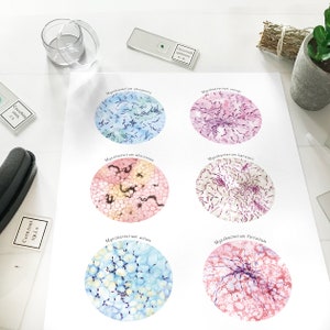 Nontuberculous Mycobacteria Collection Art Print, NTM Science Poster ...