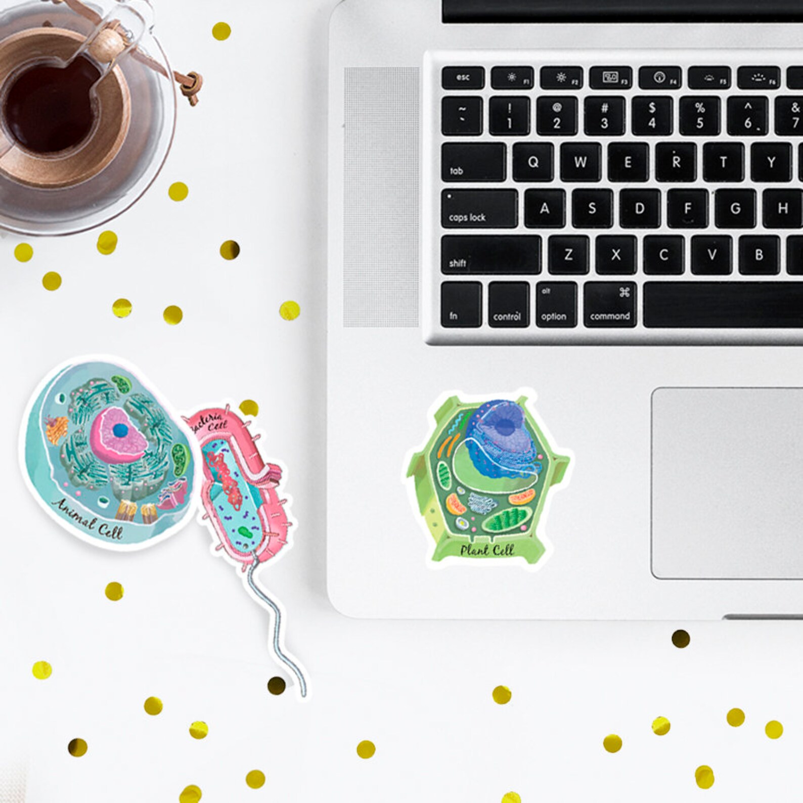 Cell Sticker Set of 3 Animal Cell Bacteria Cell Plant Cell | Etsy