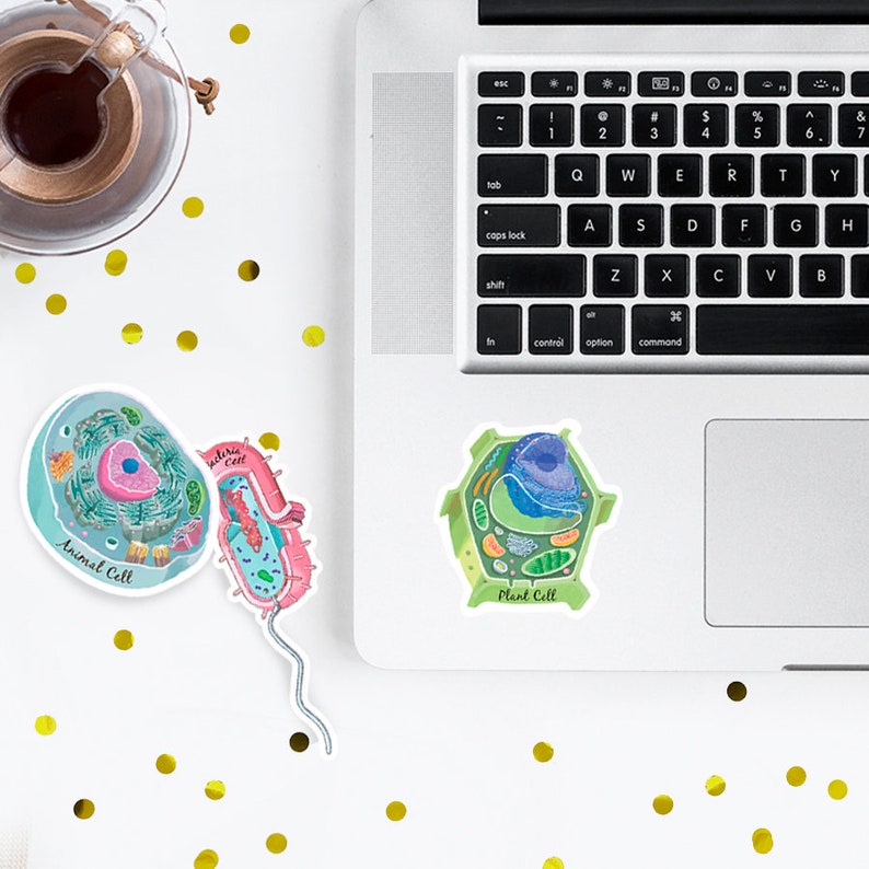 Cell Sticker Set of 3 Animal Cell Bacteria Cell Plant Cell | Etsy