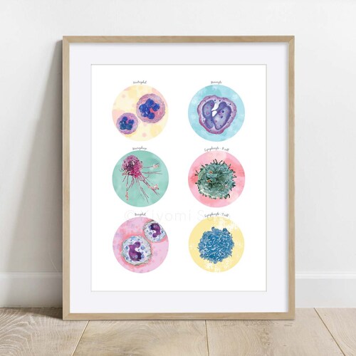 T-cells Art Print T-lymphocytes Watercolor Poster Immune - Etsy