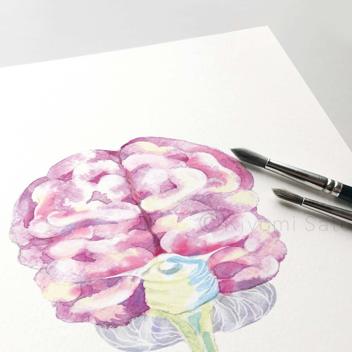 Human Brain Watercolor Painting Poster Science Art Biology - Etsy
