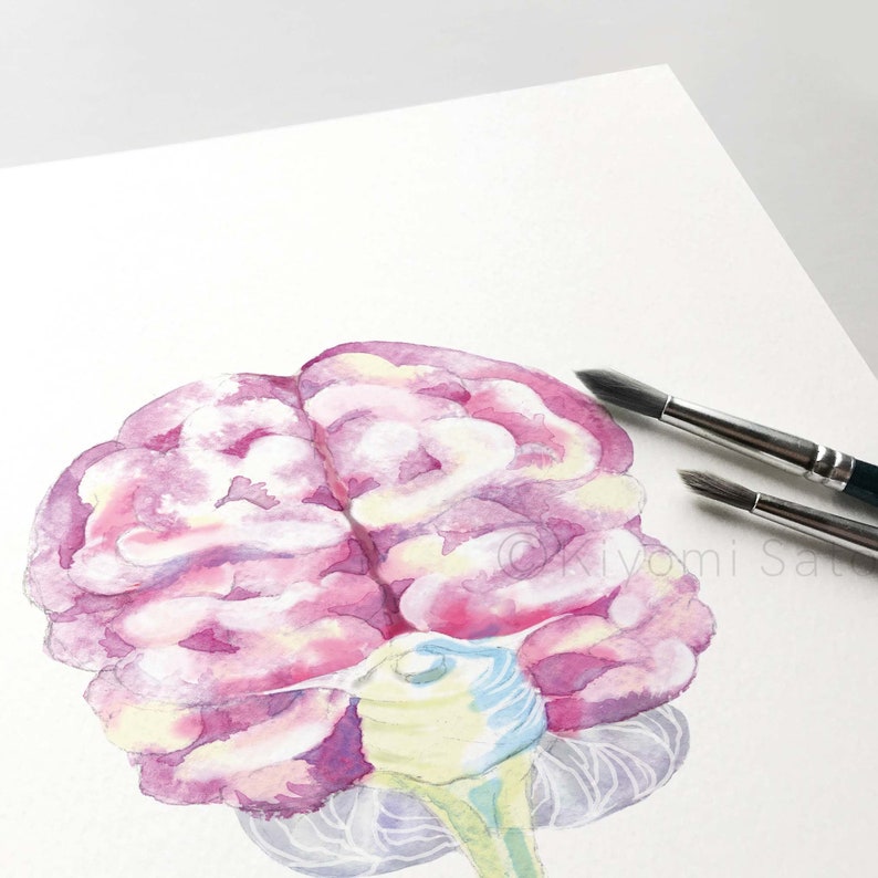 Human Brain Watercolor Painting Poster Science Art Biology - Etsy