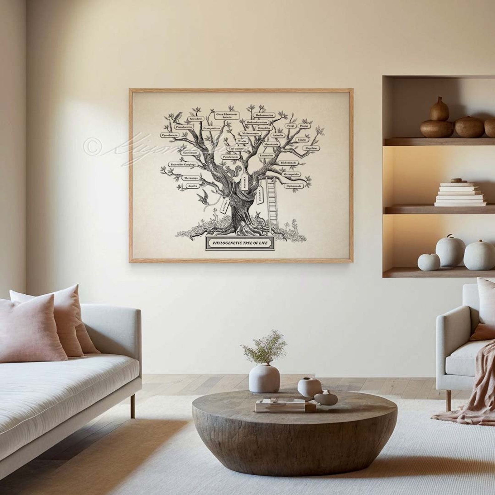 Microbiology Phylogenetic Tree of Life Poster, Science Illustration - Etsy