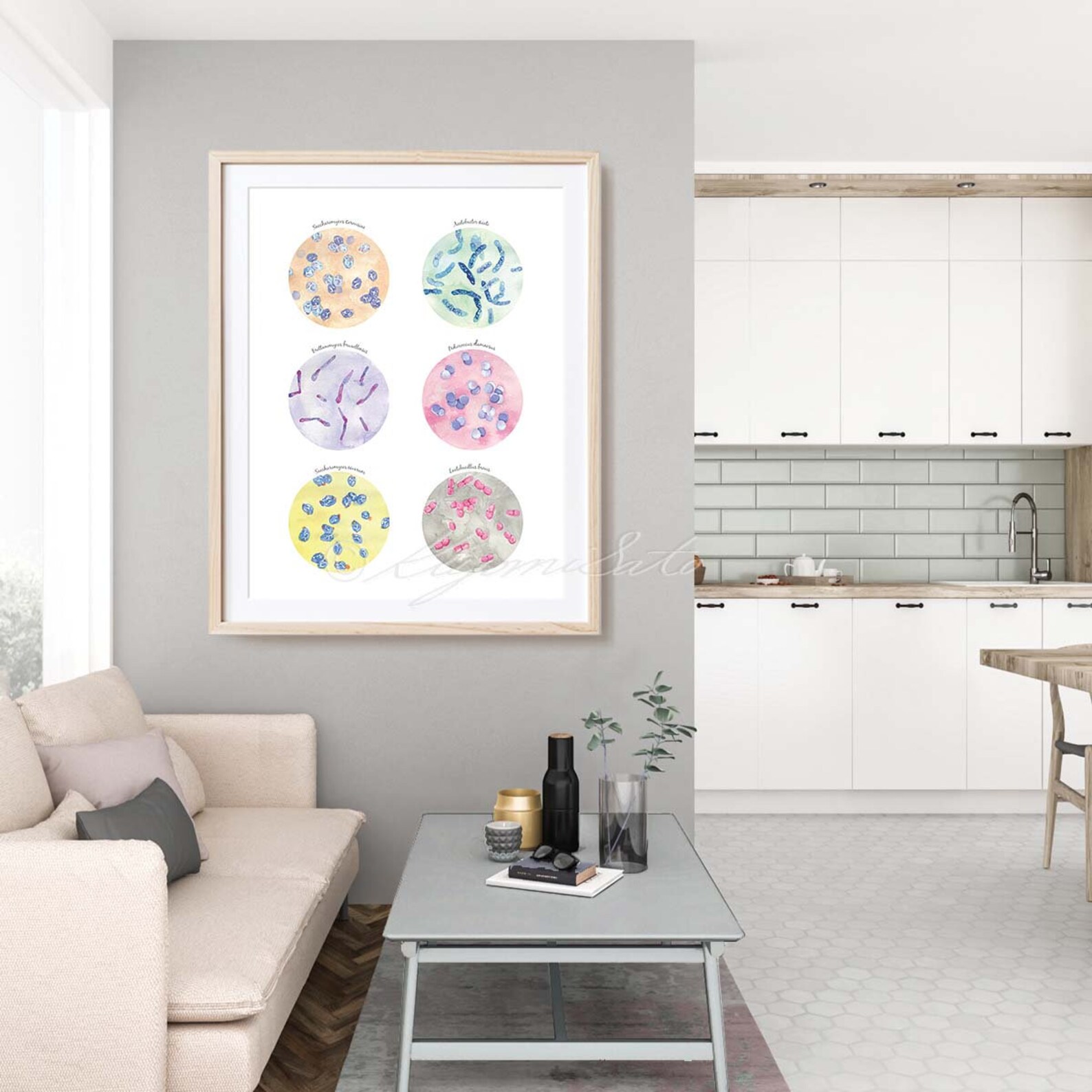 Brewing Microorganism Collection, Microbiology Poster, Science Art ...