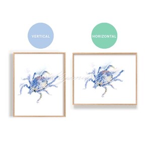 Tick Side View Poster, Tick Science Art, Biology Print, Wall Decor - Etsy