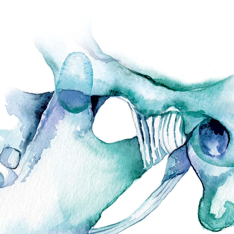 TMJ and Ligament Art Print, Dental Office Decor, Watercolor Anatomy ...