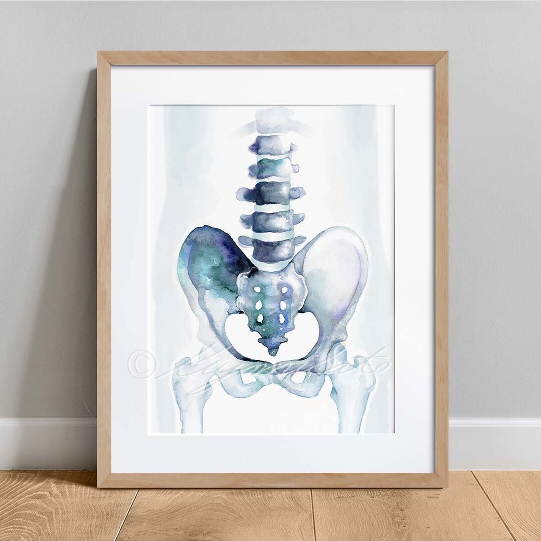 Pelvic Girdle Art, Pelvis Abstract Art, Orthopedics Art, Ilium Art ...