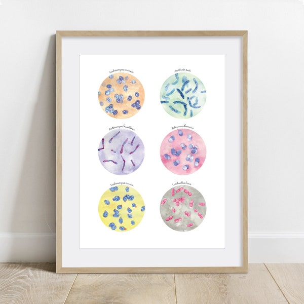 Microbiology Poster - Etsy