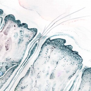 Dog Hair Follicle Histology Art, Veterinary Histology Art, Canine ...