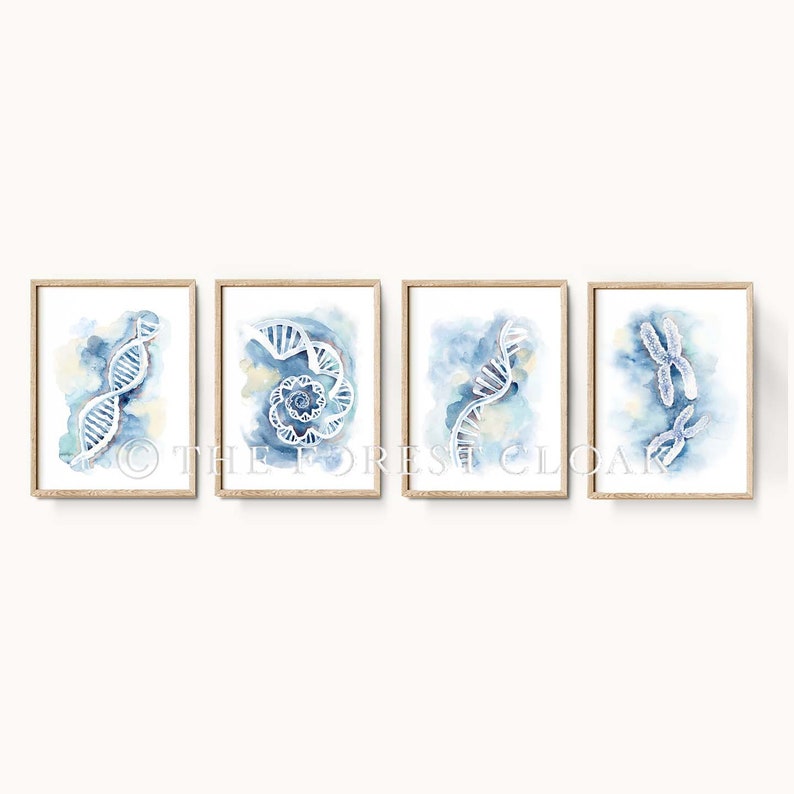 Set of 4 Genetics Posters DNA RNA DNA Spiral Chromosomes - Etsy