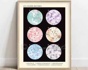 Vintage Bacteria Poster - Etsy